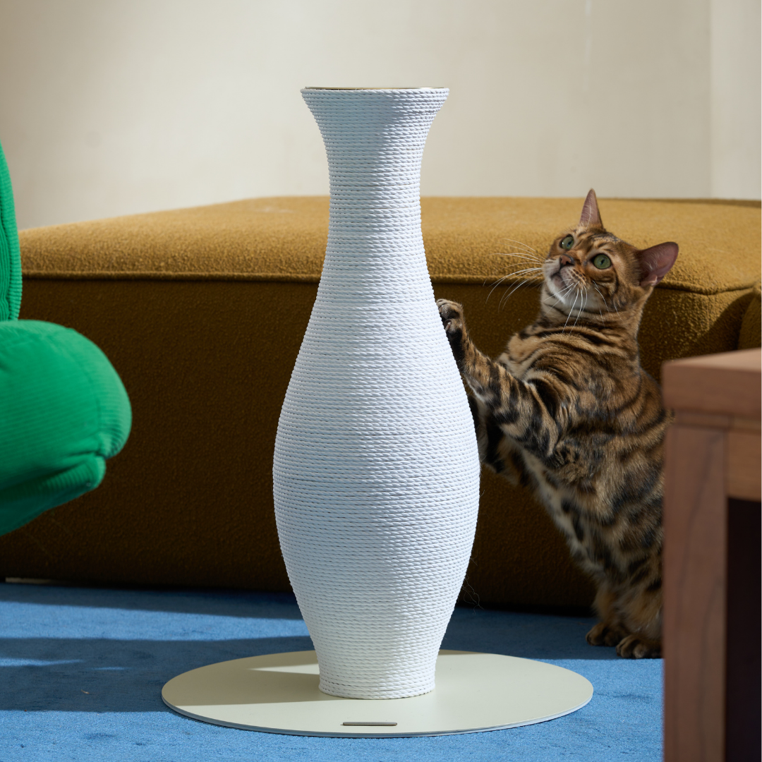 Colossal Curvy Clawer Modern Multi Angle Cat Scratcher Design ...