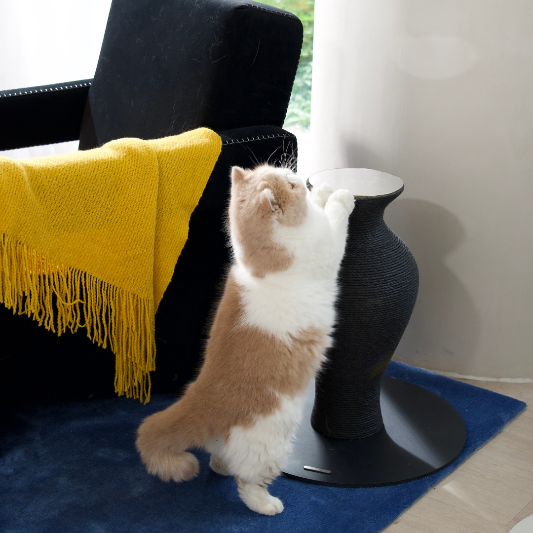 Colossal Curvy Clawer Modern Multi Angle Cat Scratcher Design ...