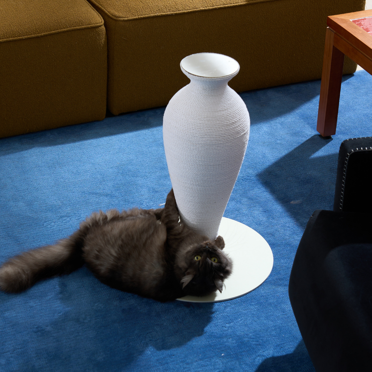 Colossal Curvy Clawer Modern Multi Angle Cat Scratcher Design ...